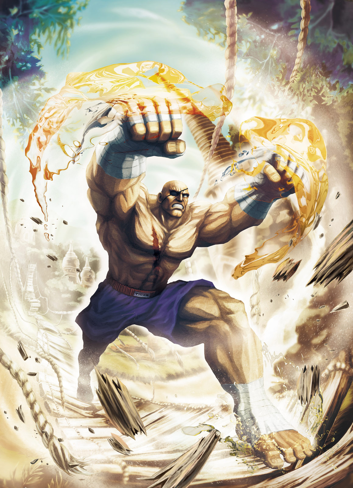 Sagat - Street Fighter X Tekken Wiki