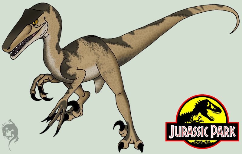 Imagen - Jurassic Park Velociraptor 2 by Iguana Teteia.png - Jurassic ... Imagen - Jurassic Park Velociraptor 2 by Iguana Teteia.png - Jurassic ...