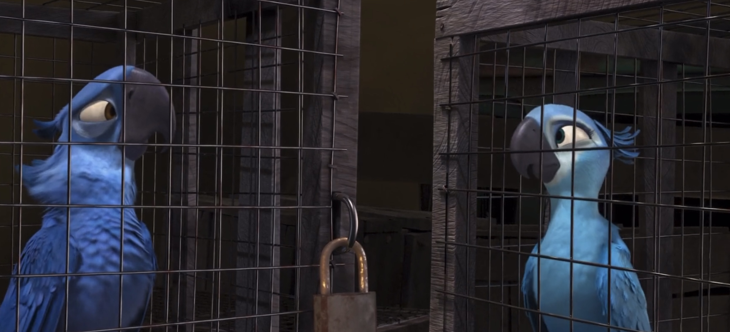 Image Blu And Jewel In Cages By Wezzie1 D4cqa3k Rio Wiki