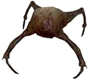 Headcrabs - Half-Life Wiki