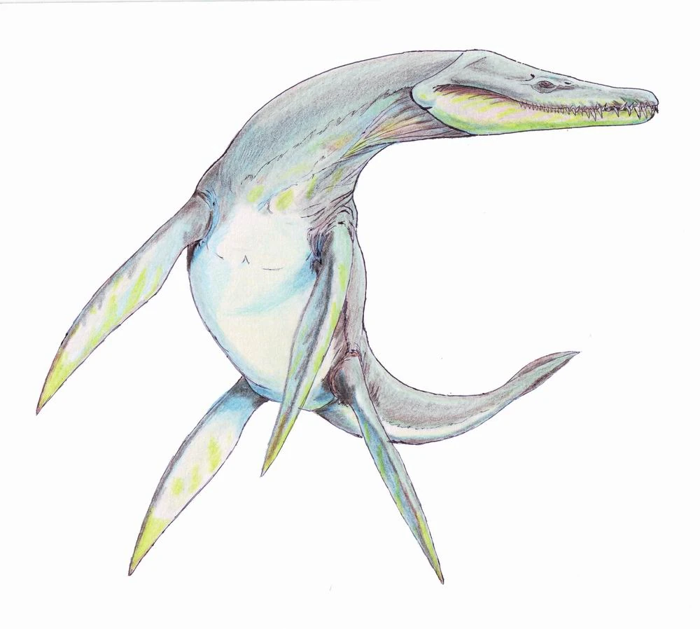 Rhomaleosaurus - Dinopedia - the free dinosaur encyclopedia