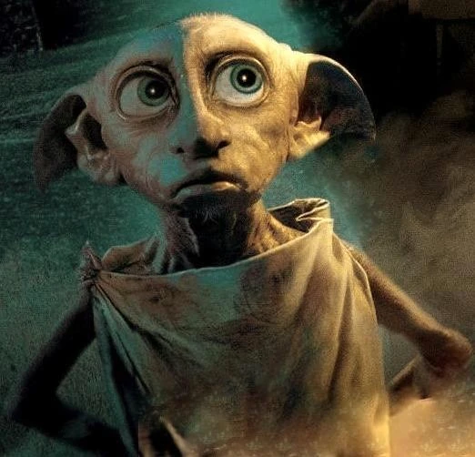 Dobby