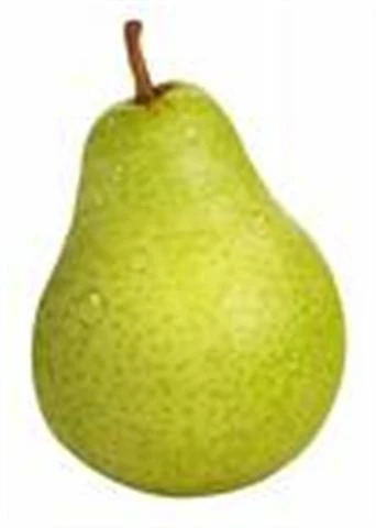 Williams pear - Recipes Wiki