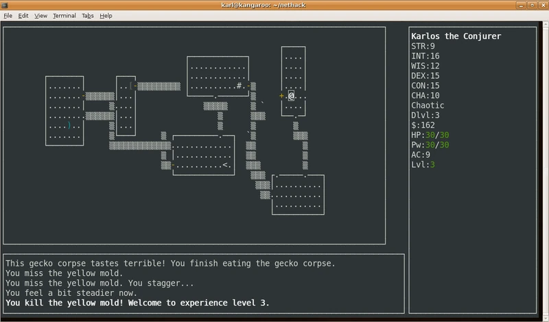 Image - Nethack-ncurses.png - NetHack Curses Interface Wiki