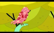Bird inside out - The Adventure Time Wiki. Mathematical!