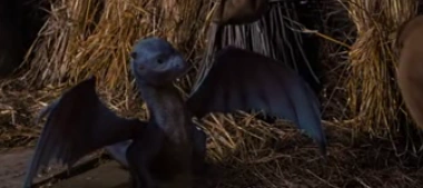 Baby Saphira From Eragon