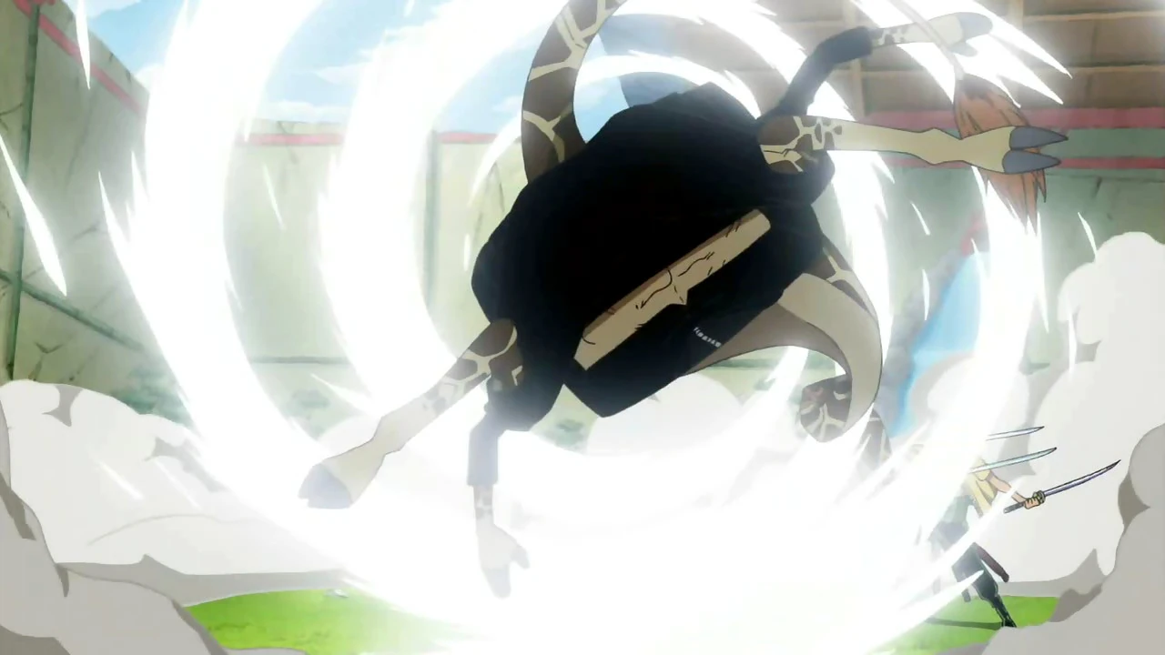 Rankyaku Neji Hakujin – aus der OnePiecePedia, der freien Enzyklopädie ...