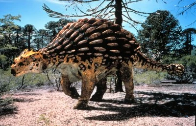 Ankylosaurus - Walking With Wikis - the free Walking with... encyclopedia