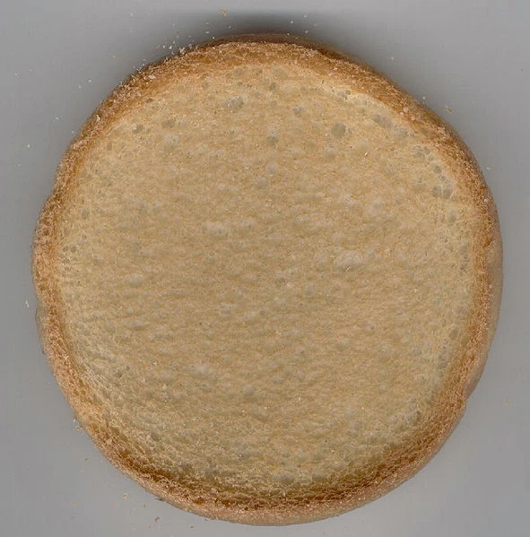 Beschuit - Recipes Wiki