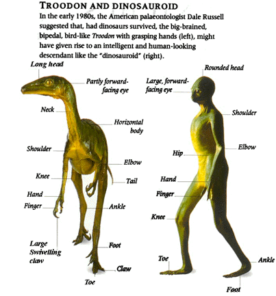 Dinosauroid - Dinosaur Wiki
