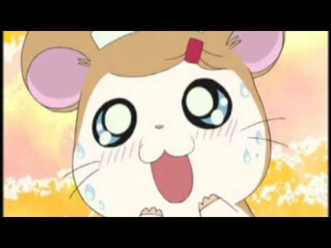 Flora - Hamtaro Wiki