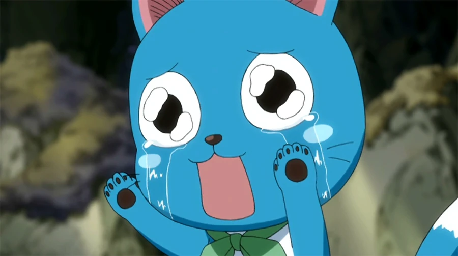 Fairy Tail Wallpaper Happy Aye