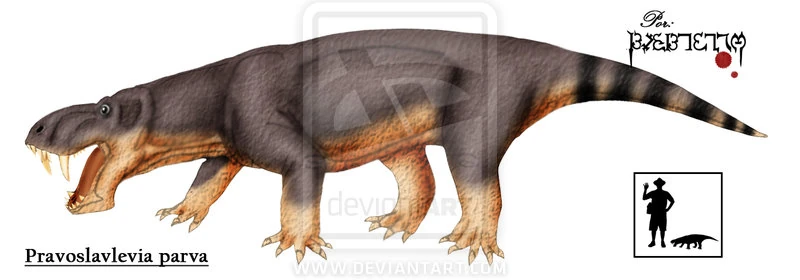 Gorgonopsia - Dinopedia - the free dinosaur encyclopedia