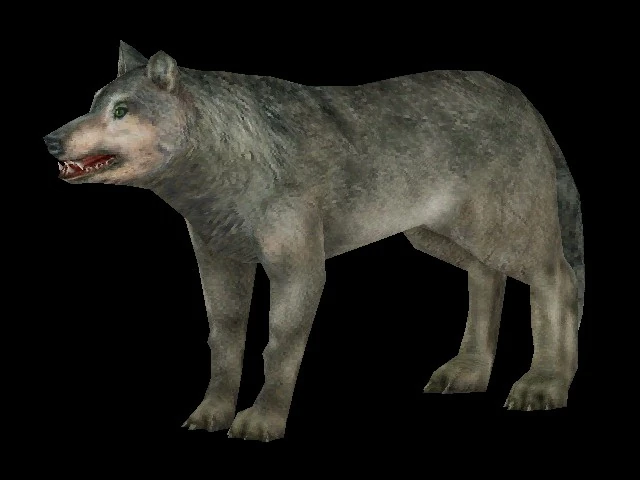 Wolf - Carnivores Wiki