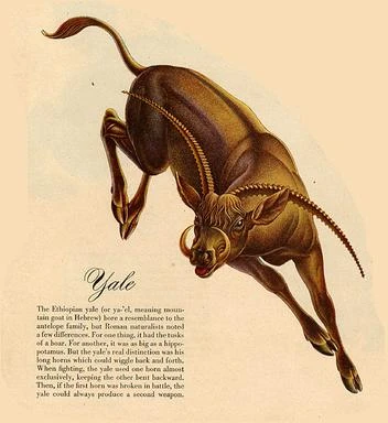 Image - Mythical Creatures- Yale Eale.JPG - Warriors Of Myth Wiki