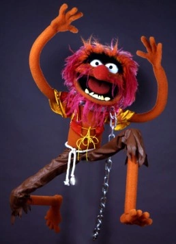Animal (The Muppets) - Disney Wiki