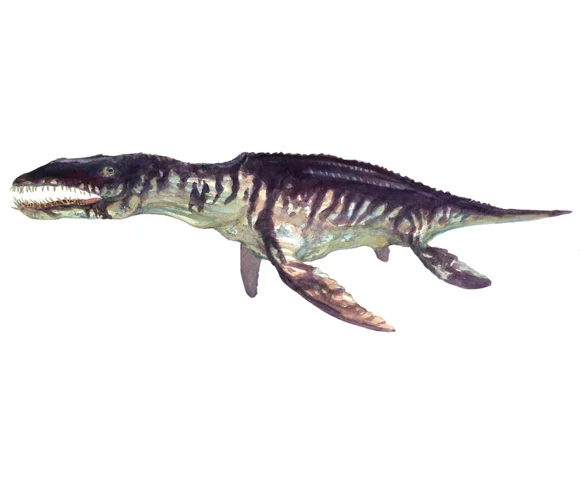 Liopleurodon - Jurassic Park Wiki