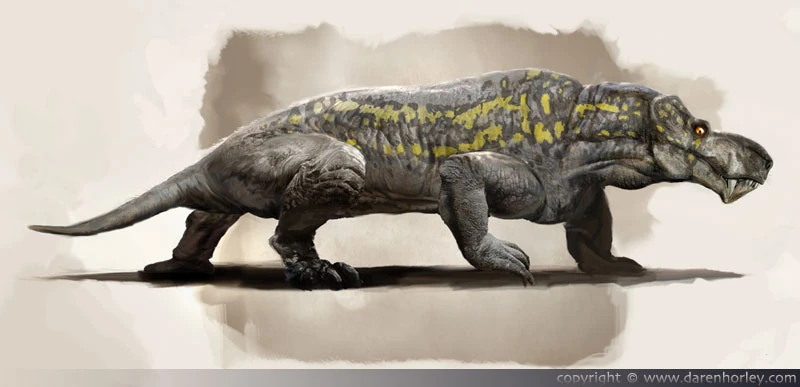 Image - Dh-cd-thrinaxodon.jpg - Anomaly Research Centre