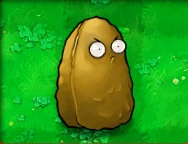 Image - Tall-nut.gif - Plants vs. Zombies Wiki, the free Plants vs ...