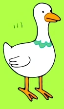 Birds - The Adventure Time Wiki. Mathematical!