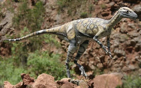 Eoraptor - Wiki Prehistórico