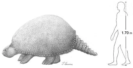 Glyptodon - Wiki Prehistórico