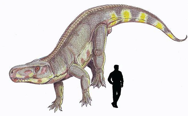 Fasolasuchus - Wiki Prehistórico
