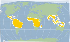 Hammerhead Shark Range Map