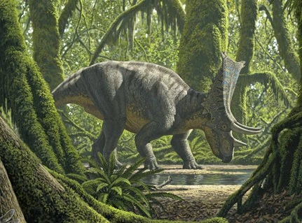 Image - Chasmosaurus raul martin.jpg - Dinopedia - the free dinosaur ...