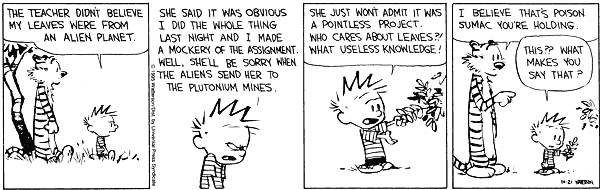 Leaf Collection - The Calvin and Hobbes Wiki