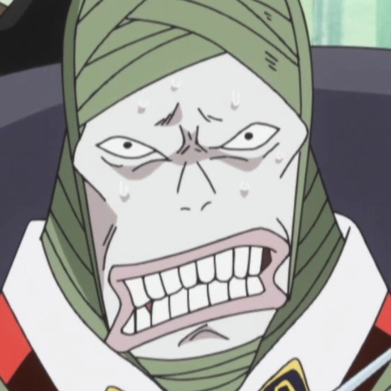 Image - Albion Portrait.png - The One Piece Wiki - Manga, Anime ...