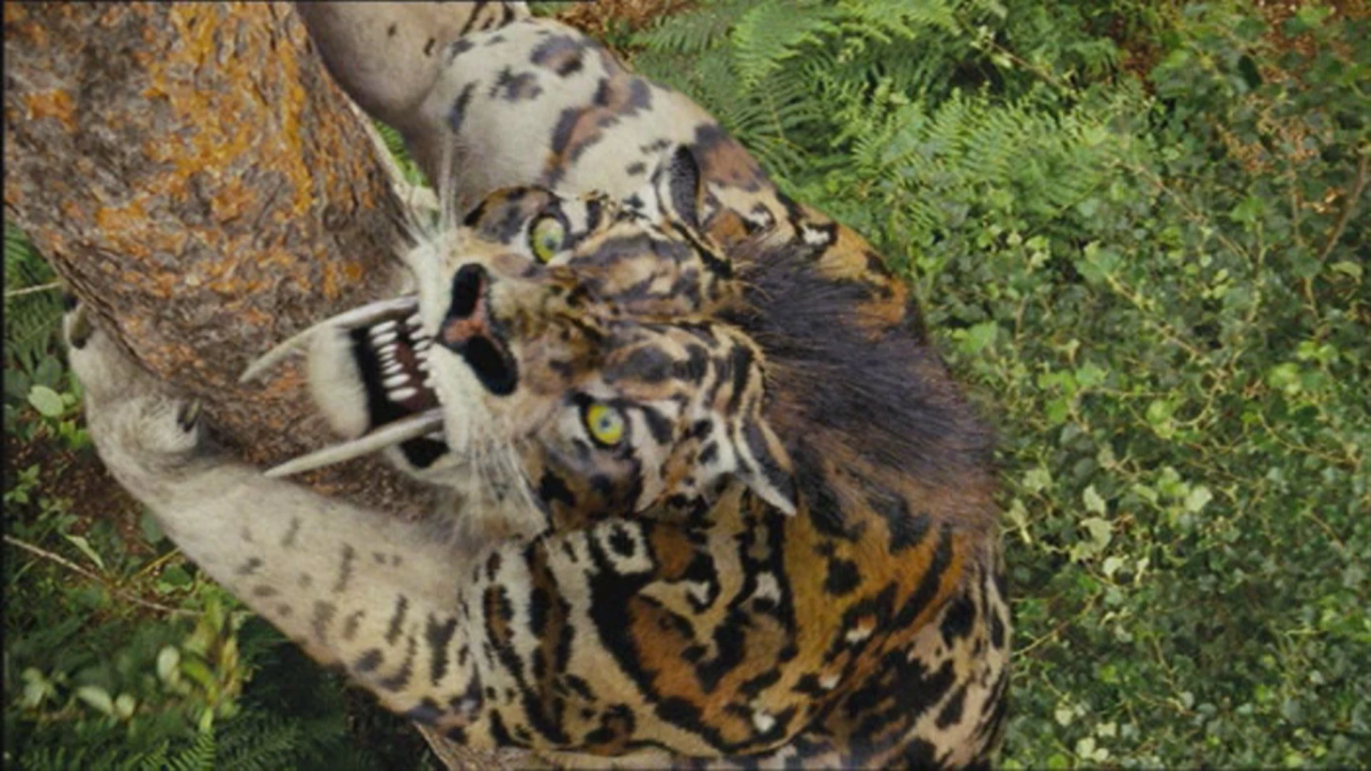 Smilodon - Anomaly Research Centre