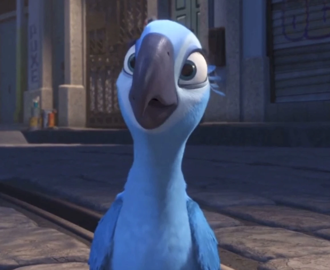 Image - Jewel-Rio-rio-34890837-500-417.jpg - Rio Wiki