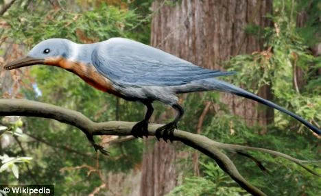 Enantiornithines - Dinopedia - the free dinosaur encyclopedia