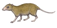 Imagen - Erythrotherium.jpg - Wiki Prehistórico
