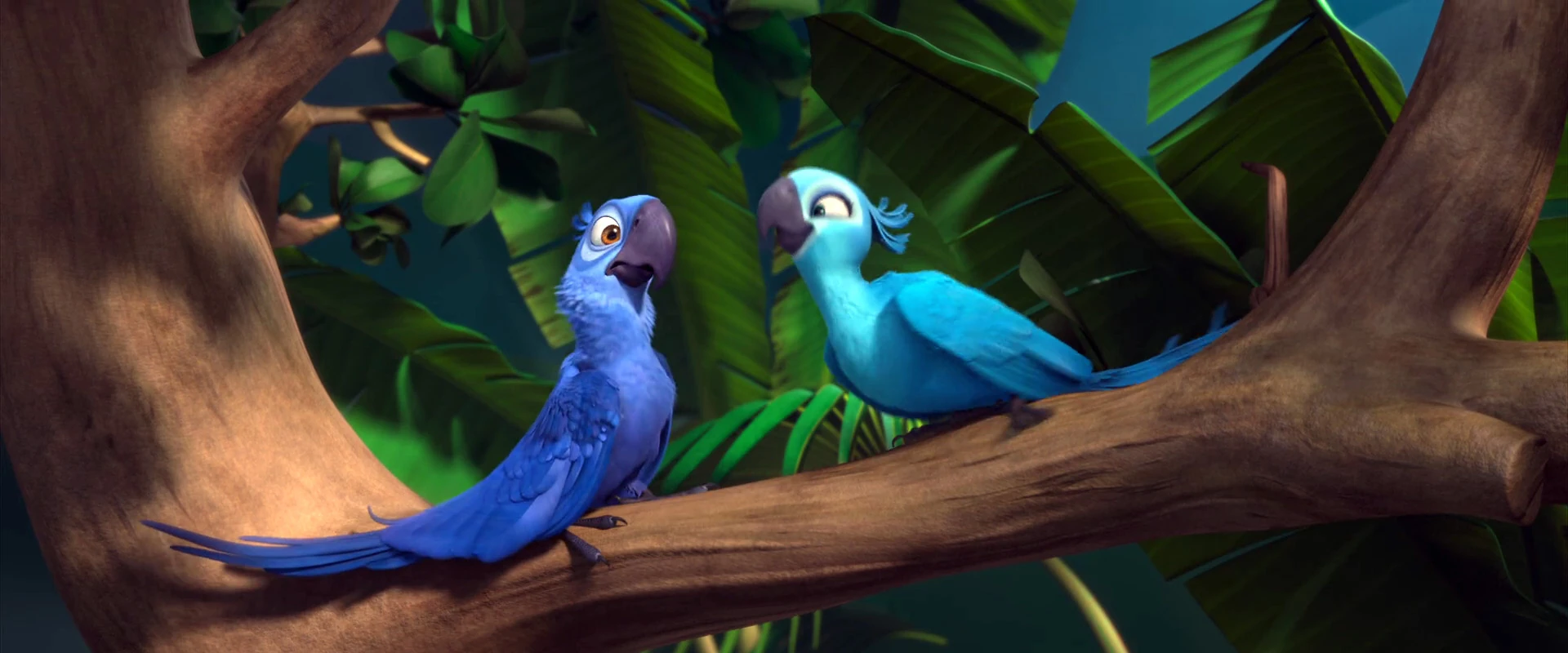 Image - Jewel and rio by kludd17-d3dp2r6 (1).jpg - Rio Wiki