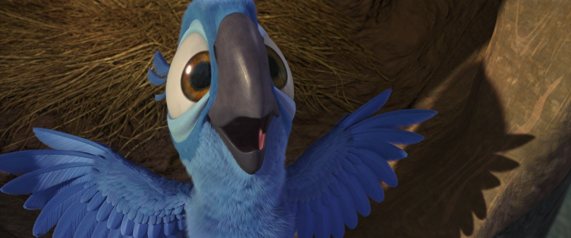 Image - Cute baby blu trying to fly.png - Rio Wiki