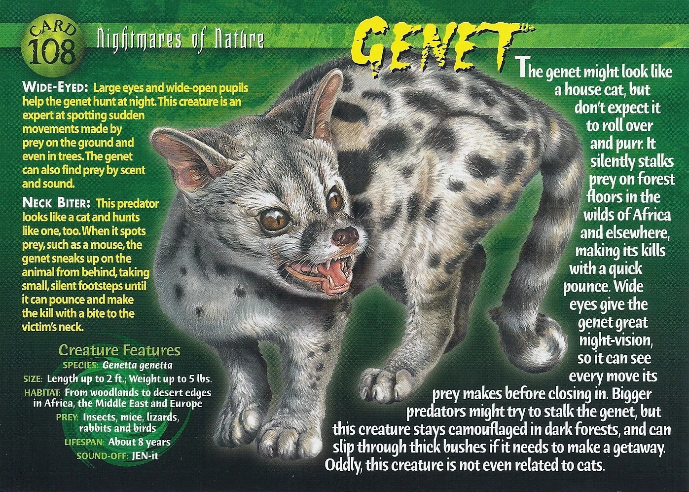 Image - Genet front.jpg - Wierd N'wild Creatures Wiki