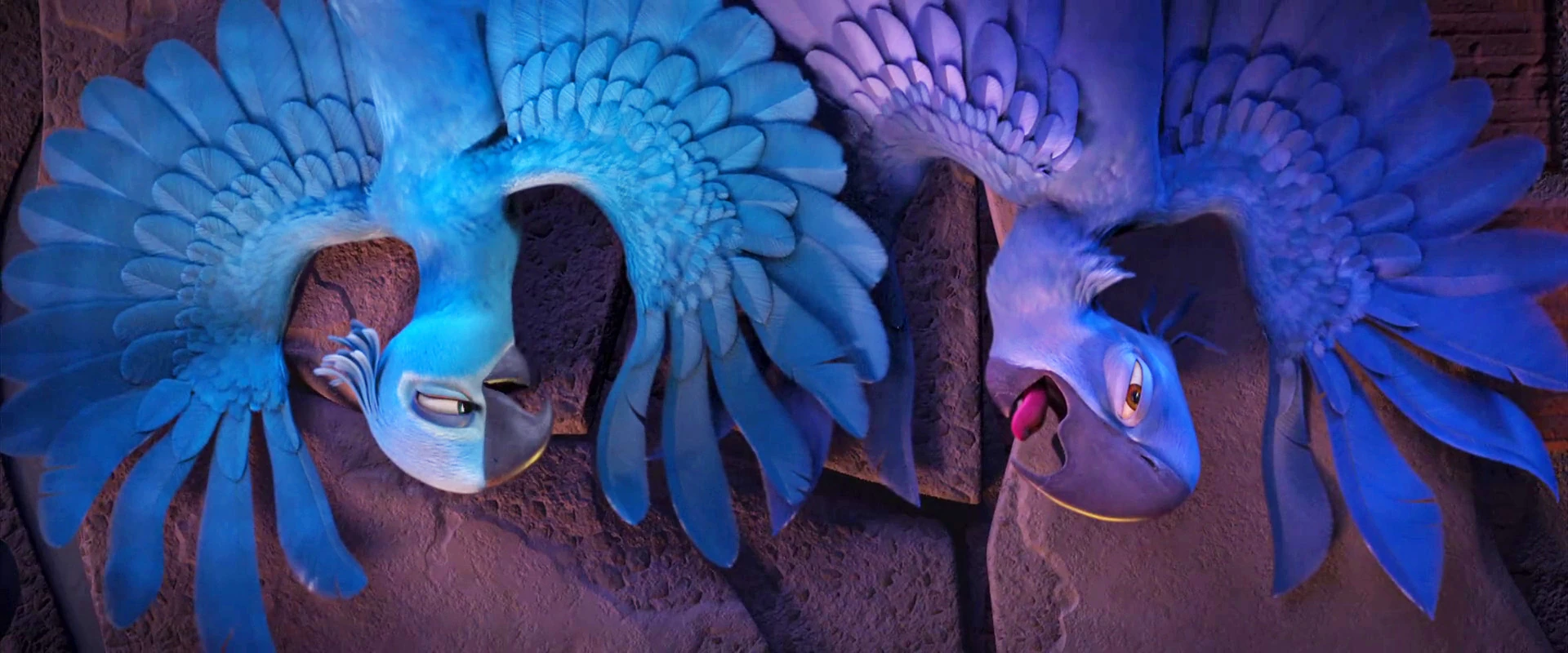 Image - Blu and Jewel chain scene.jpg - Rio Wiki