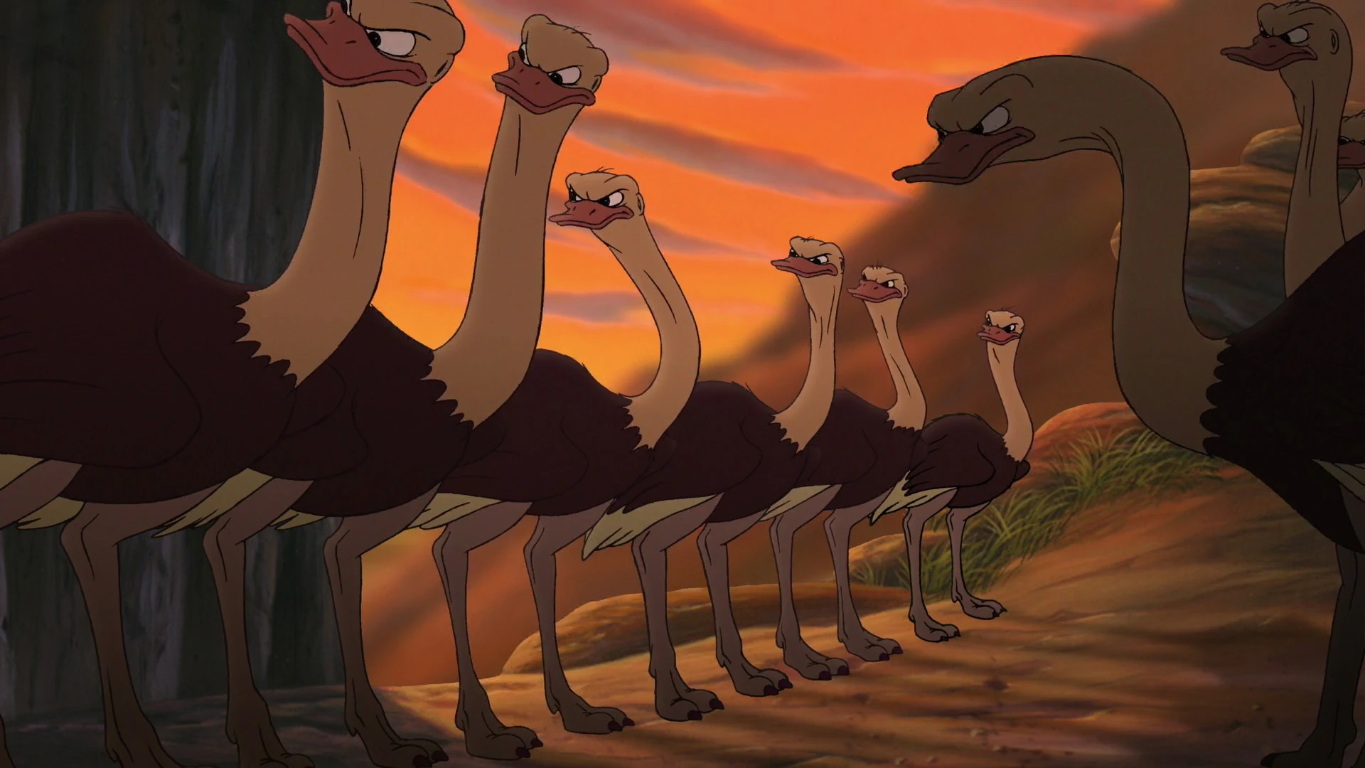 Image - Struthio Camelus.jpg - DisneyWiki