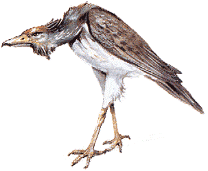 MiBound's Ultimate Extinct Animals Wishlist - Page 4 - The ZT2 Round Table