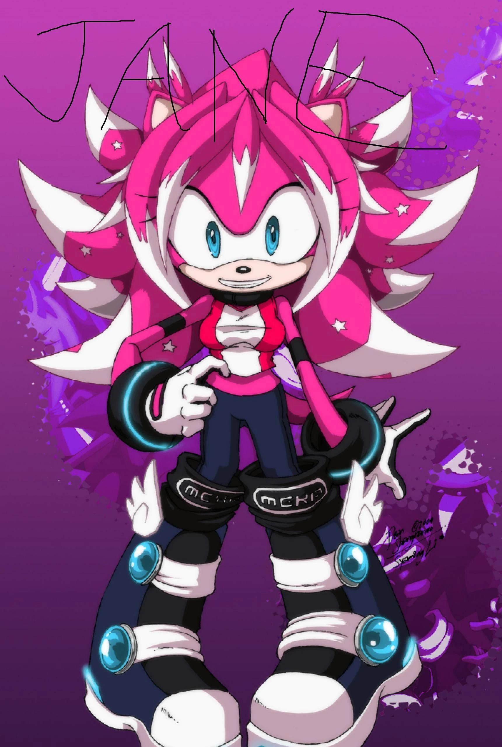 Image - Jane-TheHedgehog-sonic-girl-fan-characters-17130734-1721-2560 ...