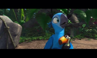 Toucan Kids - Rio Wiki