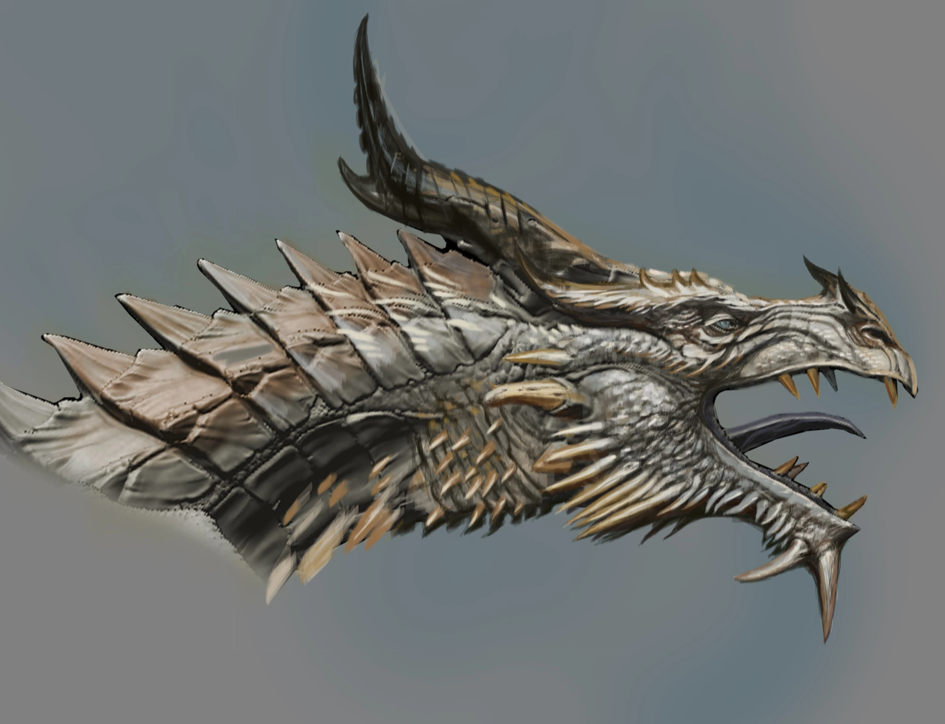 Image - Paarthurnax Head 2.jpg - The Elder Scrolls Wiki