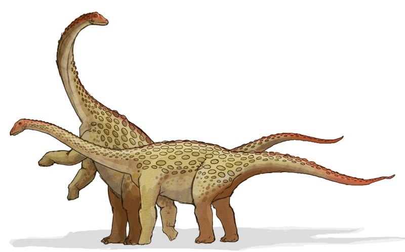 Saltasaurus - Dinopedia - the free dinosaur encyclopedia