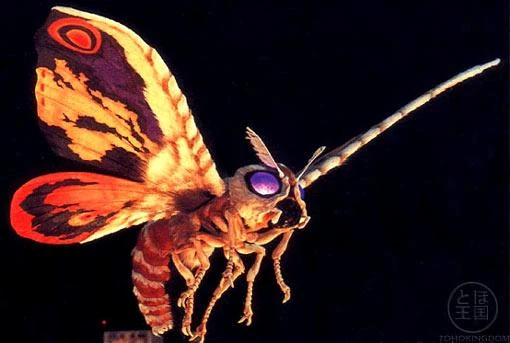 S.H. Monsterarts Mothra video review. (Just got her today and I agree ...