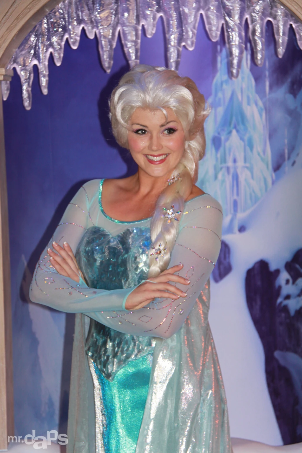 Image - MrDAPs Frozen Anna Elsa Disneyland-17.jpg - Disney Wiki - Wikia