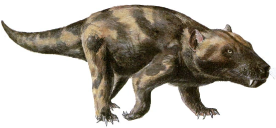Cynognathus - Dinopedia - the free dinosaur encyclopedia