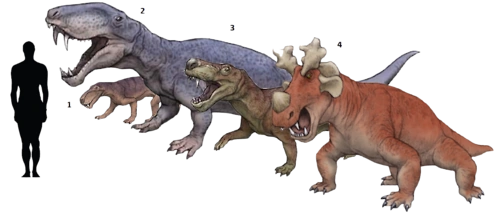 Mammal-like reptiles - Dinopedia - the free dinosaur encyclopedia