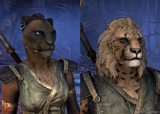 Image - Suthay-raht Khajiit (Online).jpg - The Elder Scrolls Wiki